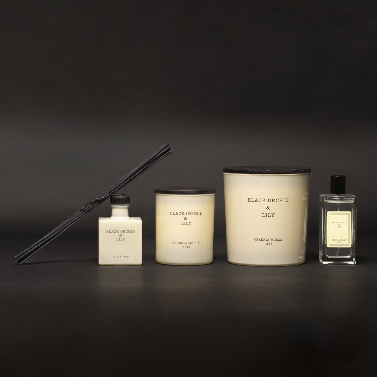 Reed Diffuser Black Orchid & Lily 100ml – Decor Lighting