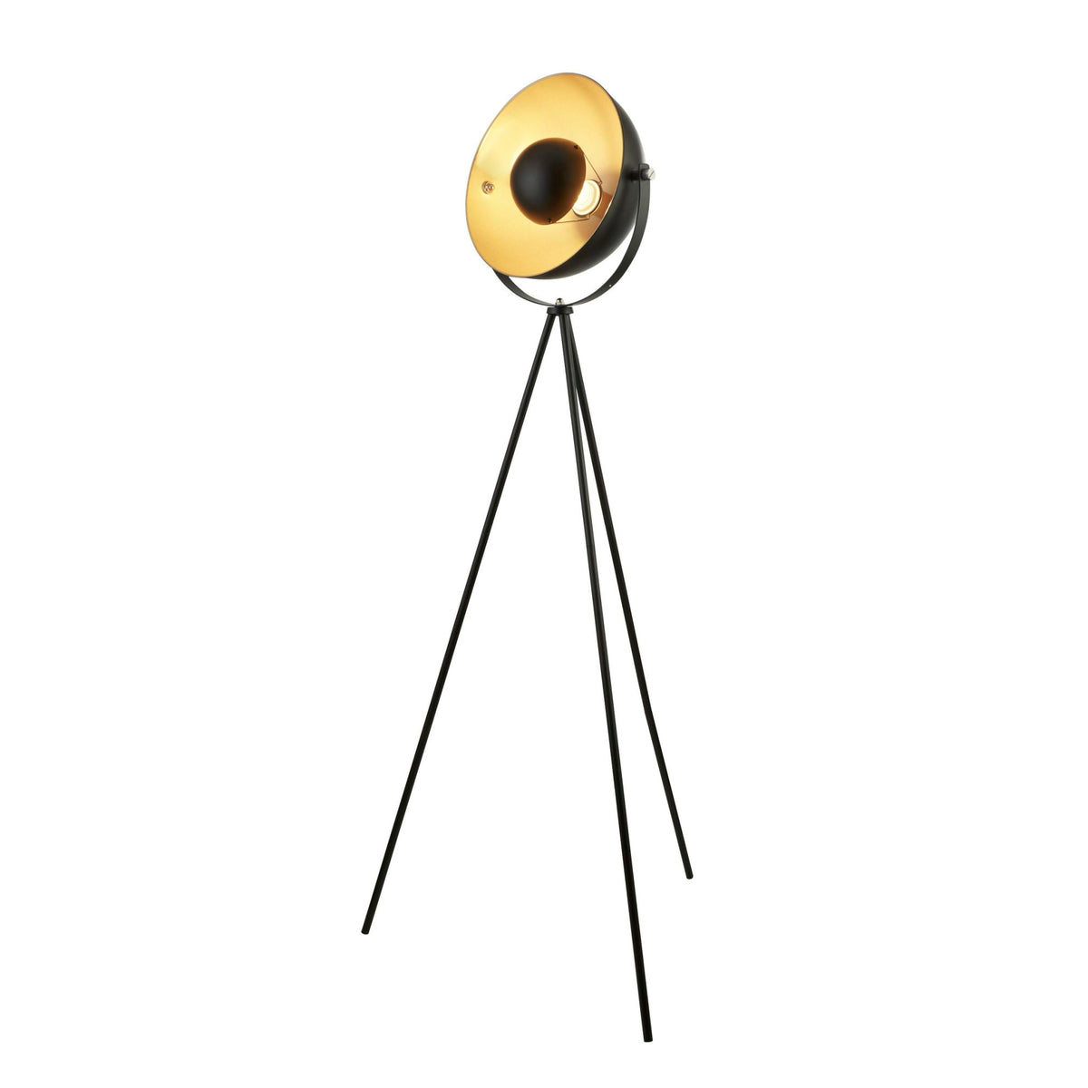 Blink Matt Black and Gold Floor Lamp – Decor Lighting